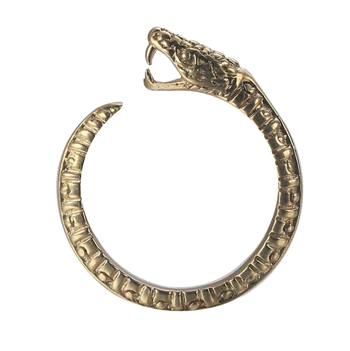 ETERNAL SNAKE RING GIFT