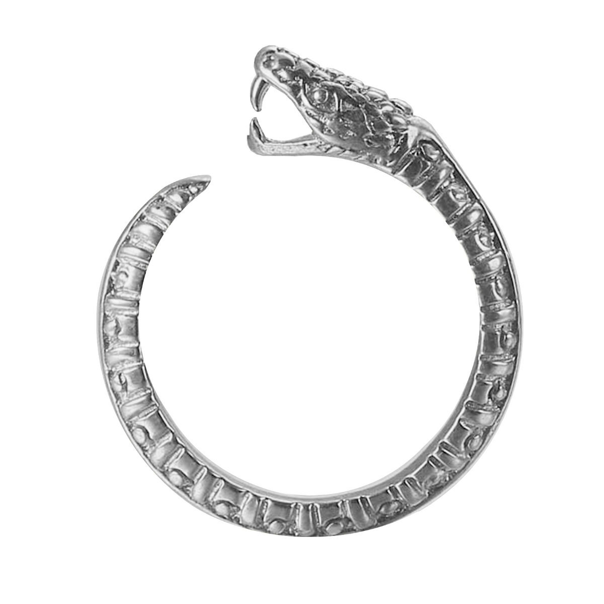 ETERNAL SNAKE RING GIFT