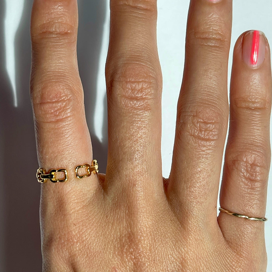 GANG GANG CHAIN RING – VERAMEAT